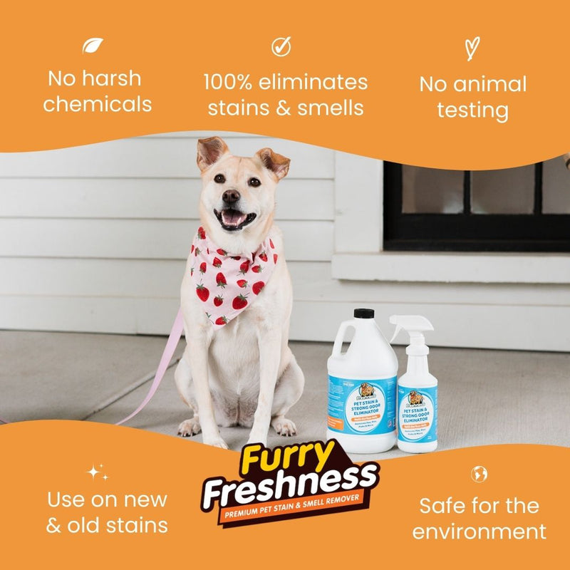 FurryFreshness Pet Stain & Odor Remover - FurryFreshness Premium Stain ...