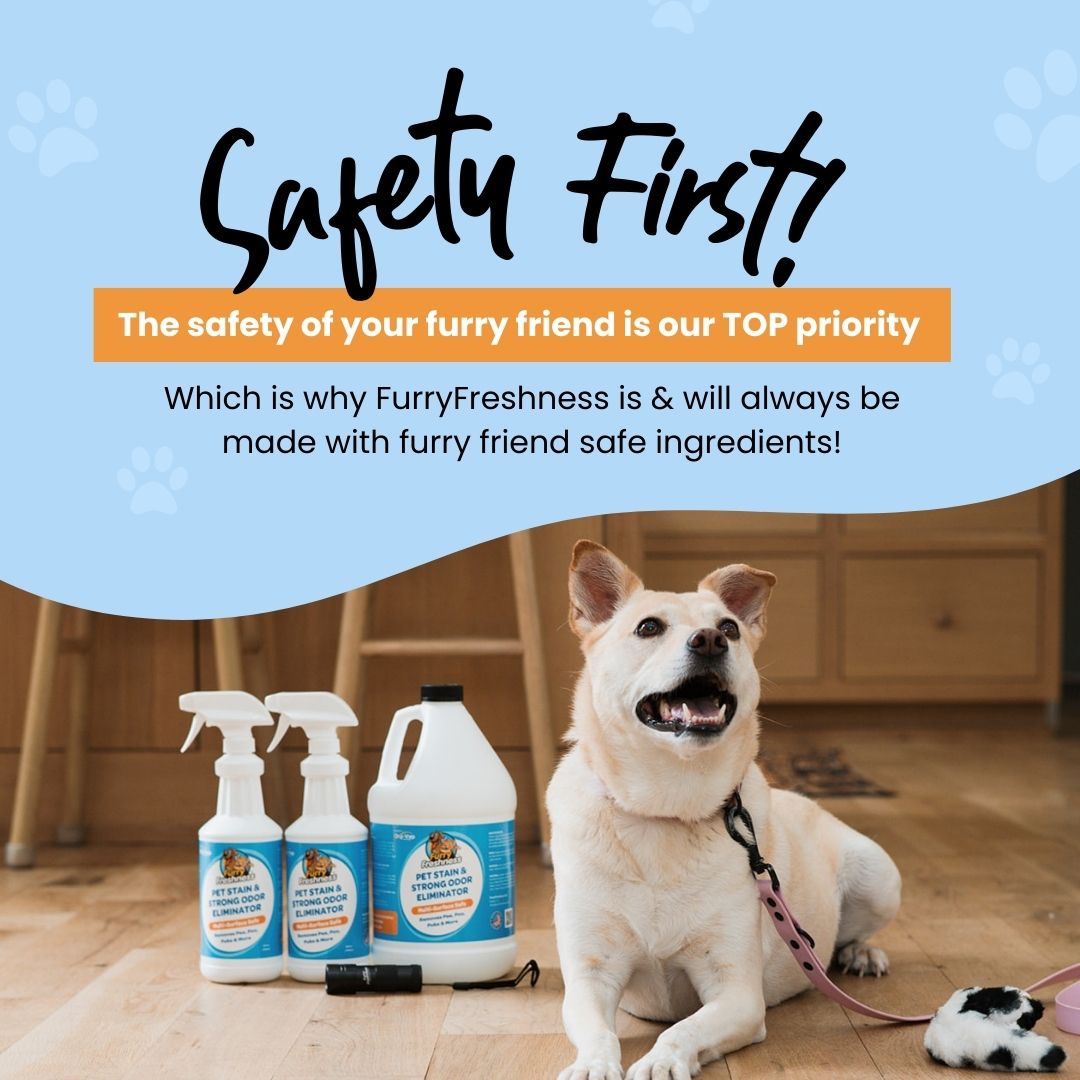 FurryFreshness Pet Stain & Odor Remover - FurryFreshness Premium Stain ...