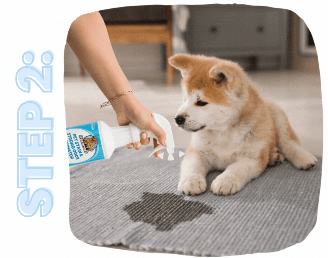 Stain & Odor Eliminator 32oz 2-Pack - FurryFreshness Premium Stain and ...