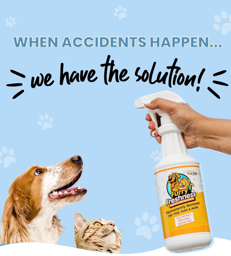 FurryFreshness Premium Stain and Smell Remover for Dogs and Cats!