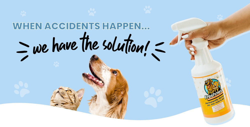 FurryFreshness Premium Stain and Smell Remover for Dogs and Cats!