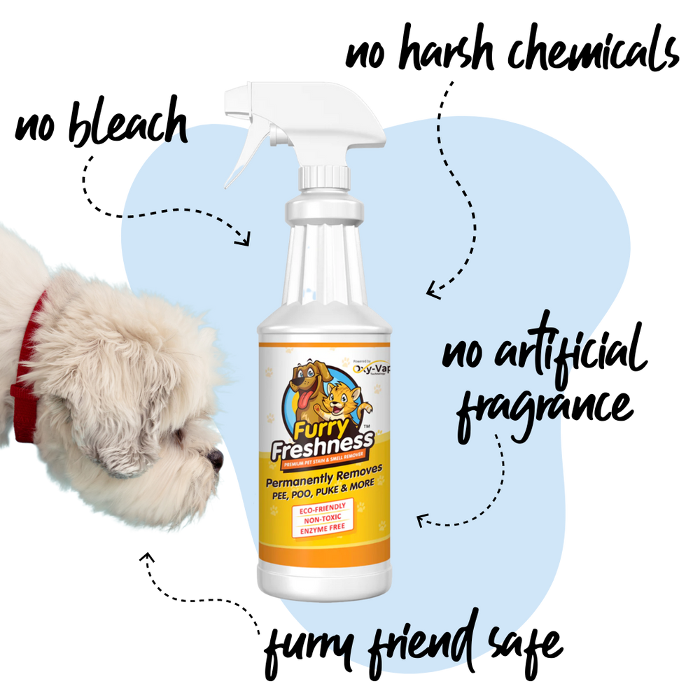 FurryFreshness Pet Stain & Odor Remover - FurryFreshness Premium Stain ...